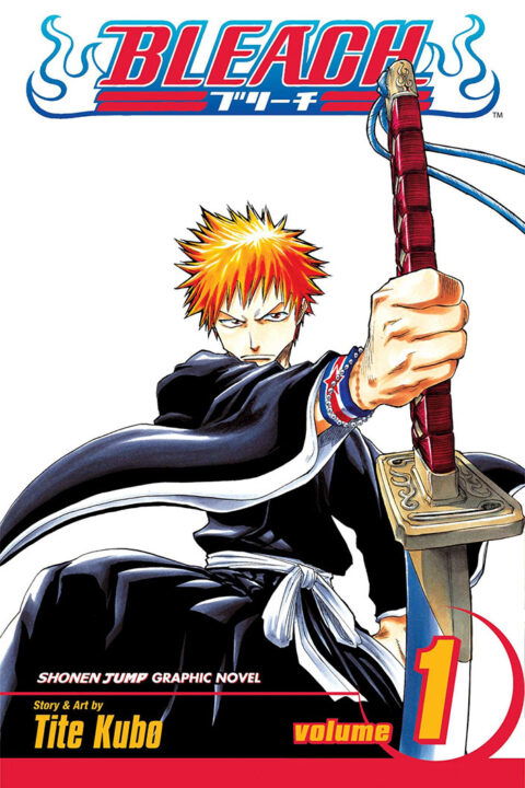 Bleach Manga in Order